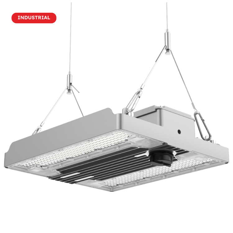 Industrial Range | Lumineux UK